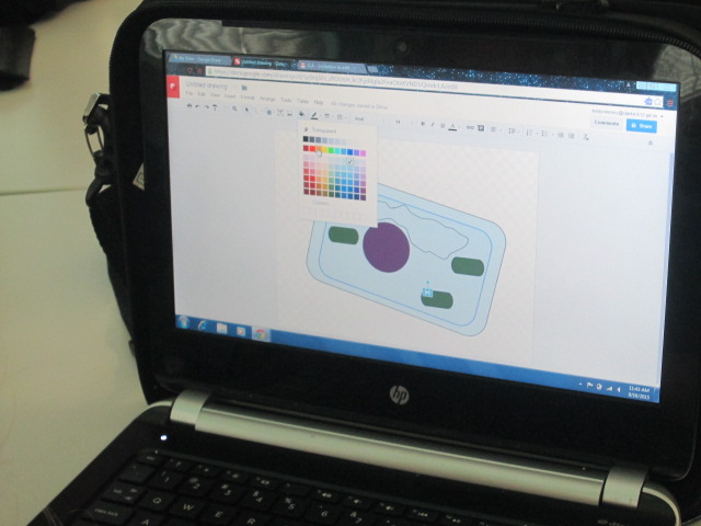 Google Drawing (20) | Expect the Miraculous