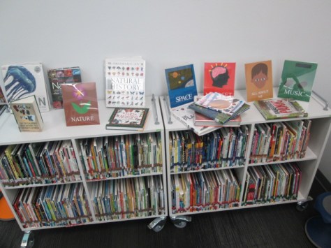 A Sneak Peek of Our Finished Genrefication Project | Expect the Miraculous