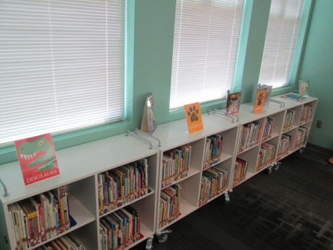 A Sneak Peek of Our Finished Genrefication Project | Expect the Miraculous