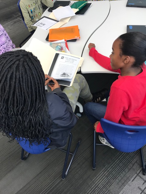 Using Two Truths and a Lie to Encourage Thorough Research | Expect the ...